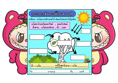 แจกไฟล์ชิ้นงาน สื่อวิทย์ Science ประถม Facebook