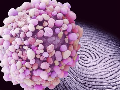 Solid Liquid Or Gas Visual “fingerprints” Quickly Identify Physical