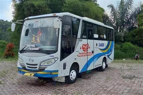 DAMRI Buka Rute Perintis Di Merauke