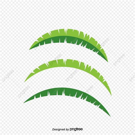 Curved Leaf Vector At Collection Of Curved Leaf