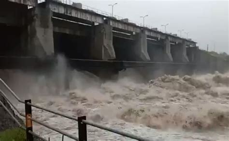 Madhya Pradesh Rainfall Madhya Pradeshs Indore Gets Highest Single