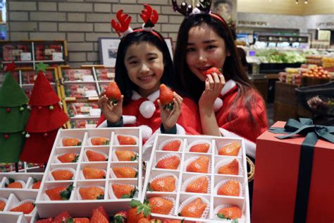[포토]신세계百 엄선한 고급 딸기 크리스마스 선물 출시