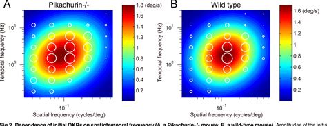 Figure 2 From Role Of The Mouse Retinal Photoreceptor Ribbon Synapse In Visual Motion Processing