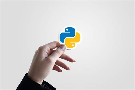 Python Temalı Yazılımcı Laptop Sticker Coders Home