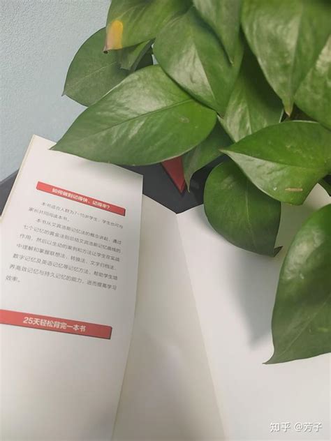 《艾宾浩斯记忆法》提高记忆的魔法书 知乎