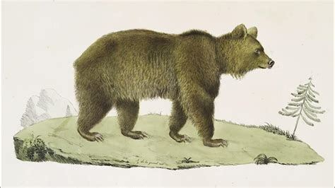 Lapis Luminis Ethics Youtube