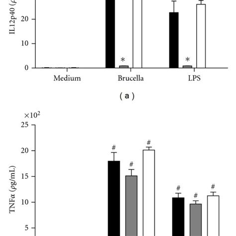 Ifn γ Tnf α And No Production Induced By B Abortus In Ifn γ Ko Or