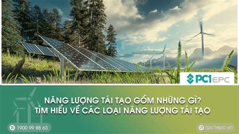 Năng lượng tái tạo gồm những gì Tìm hiểu về các loại năng lượng tái tạo
