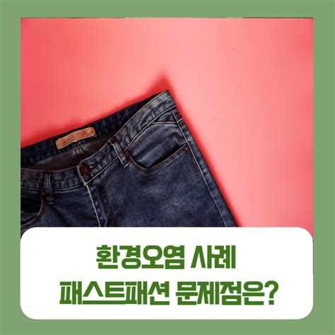 환경오염 사례 패스트패션 문제점은 네이버 블로그