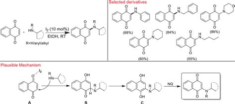 Iodine Promoted Direct C H Amination On Nq Download Scientific Diagram