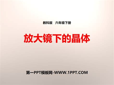 《放大镜下的晶体》微小世界ppt教学课件 教科版六年级科学下册