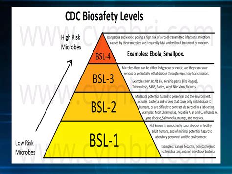 Lab Biosafety And Biosecurity Ppt
