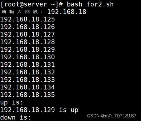 Shell第二次作业 Csdn博客