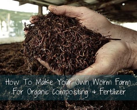 How To Make Your Own Worm Farm For Organic Composting And Organic