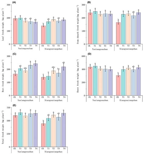 Effects Of Selenium Foliar Spraying On Seedling Growth And Stem Sheath