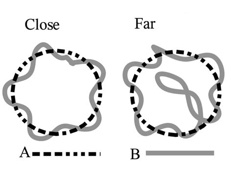 2 An Illustration Of The Hausdorff Metric Download Scientific Diagram