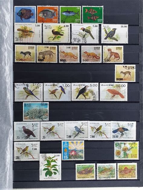 Motif Flora And Fauna Collection In Five Ring Bindings Catawiki