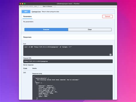 Diy Api With Make And Plumber 5 Basic Plumber Example