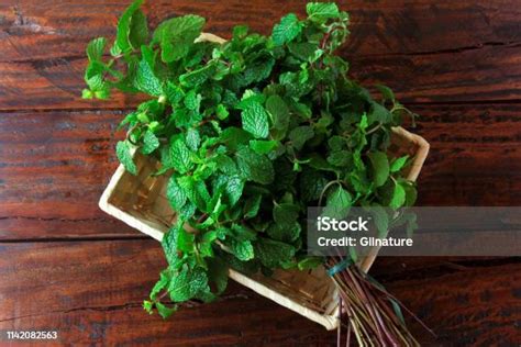 소박한 나무 책상 위에 바구니에 녹색 유기 신선한 민트의 그룹입니다 약용 및 요리 용도가 있는 아로마틱 페 퍼 민트 평면도 건강관리와 의술에 대한 스톡 사진 및 기타 이미지