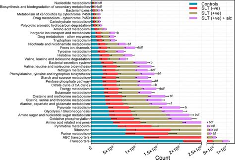Functional Potential Of Oral Bacteriome The Picrust2 Analysis At