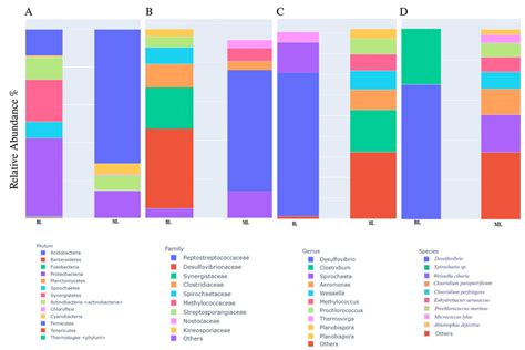 Comparative 16s Metabarcoding Of Nile Tilapia Gut Microbiota From The Northern Lakes Of Egypt Nu
