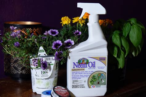 What Is Neem Oil How To Use Neem To Protect Plants