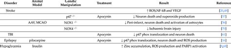 Nox Deletion And Nox Inhibition Effects In Animal Models An Overview