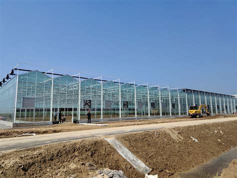 青州市汇源温室园艺工程有限公司 青州市汇源温室园艺工程有限公司
