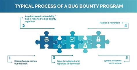 bug bounty vs penetration testing which one is right for you