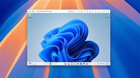 Mac에서 Windows 앱을 쉽게 실행하는 가장 좋은 방법 최고의 집