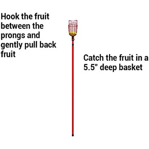 Corona Extendable Fruit Picker Hardwareandtools Online Store