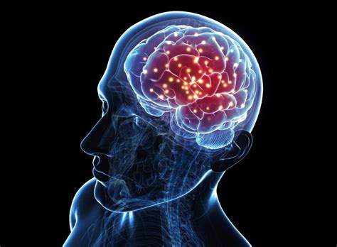 【brainbee】脑科学知名期刊neuron杂志力荐的黄金竞赛，报名还剩最后一周啦！ 翰林国际教育