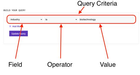 Building Elasticsearch Queries With The Query Builder Tutorial