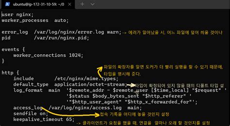 Docker Nginx로 Proxy 다루기