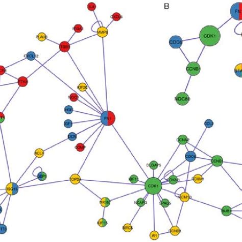 Protein Protein Interaction Network Analysis A Protein Protein