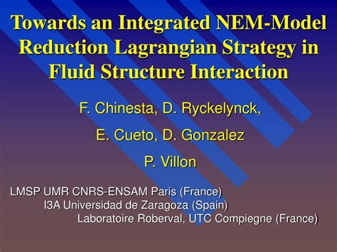 ppt towards an integrated nem model reduction lagrangian strategy in