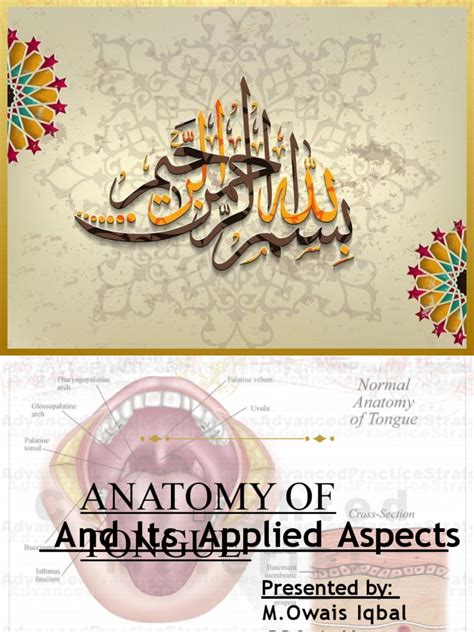 Tongue Pptby Mowais Iqbal Bds 1st Year Pdf