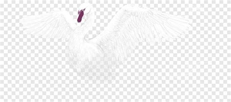 Png Pngegg
