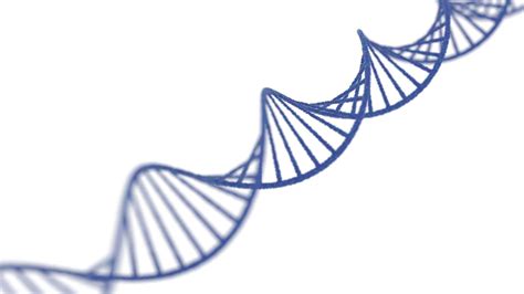 Dna Helix 3d Model Animated Cgtrader