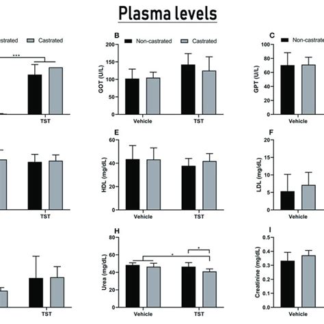 Electrocorticographic Recordings Of Intact Non Castrated And Download Scientific Diagram