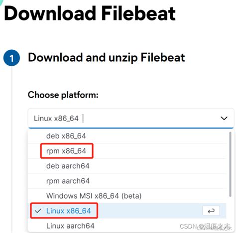 Docker部署elk 882（3） Beats Filebeat使用filebeat882 Csdn博客