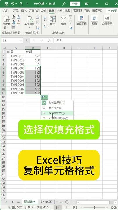 Excel技巧复制单元格格式 Excel Exceltips Learnexcel Exceltricks