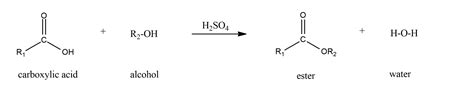 Draw The Structure Of A Triacylglycerol That Contains Three Quizlet