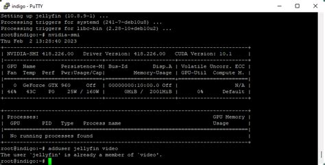 nvidia hardware acceleration on jellyfin without docker general