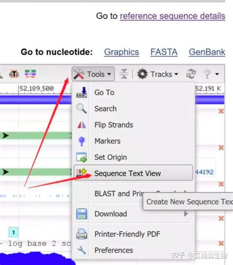 怎么查找基因的启动子UTRTSS等区域以及预测转录因子结合位点 环状RNA社区 知乎