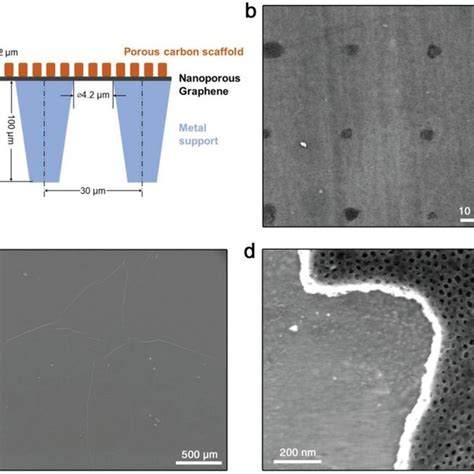 Michael Strano Massachusetts Institute Of Technology Ma Mit Department Of Chemical