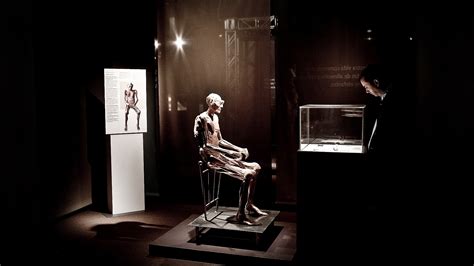 Fotos O fantástico corpo humano ganha destaque em exposição 18 01