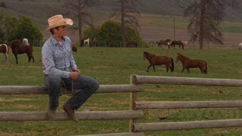 Flicka 2 Blu Ray Blu Ray Dvd