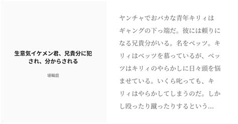 [r 18] メス堕ち 義兄弟 生意気イケメン君、兄貴分に犯され、分からされる 変態の小説 Pixiv