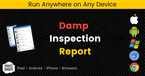 Damp And Mould Inspection Report Damp And Mould Inspection Template